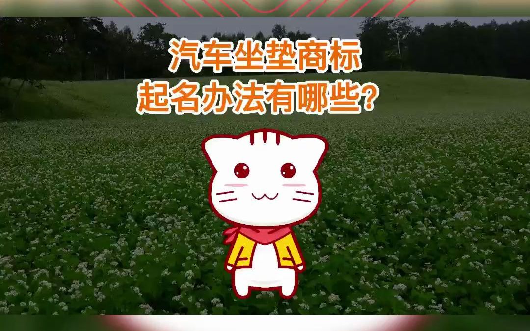 汽车坐垫商标起名办法有哪些?#连云港商标申请
