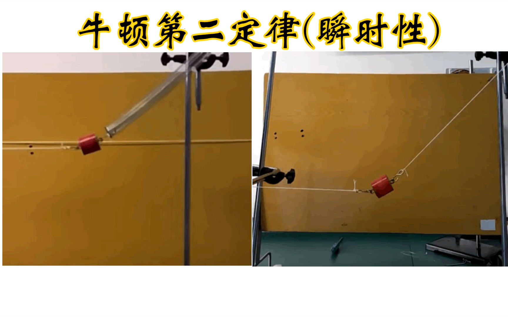 【带动图】牛顿第二定律的瞬时性问题2