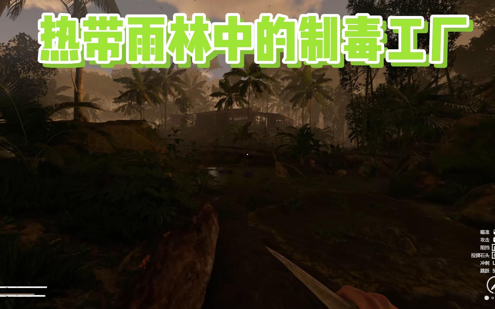 绿色地狱05:我深入丛林,发现位于丛林深处的制毒工厂