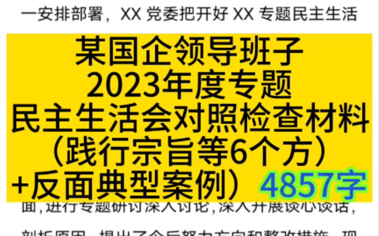 某国企领导班子2023年度专题民主生活会对照检查材料(践行宗旨等6个...