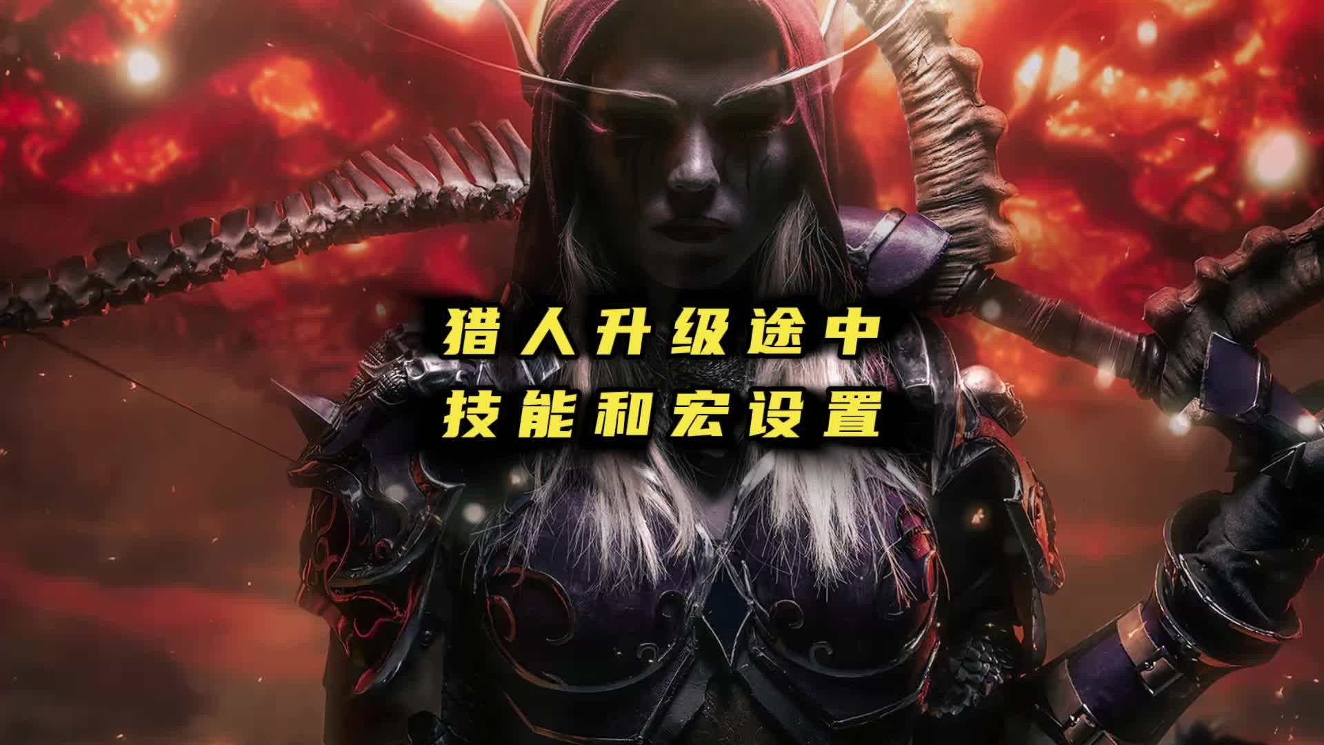 猎人升级,一键宏,宏命令_哔哩哔哩bilibili_魔兽世界