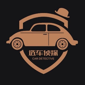 选车侦探 