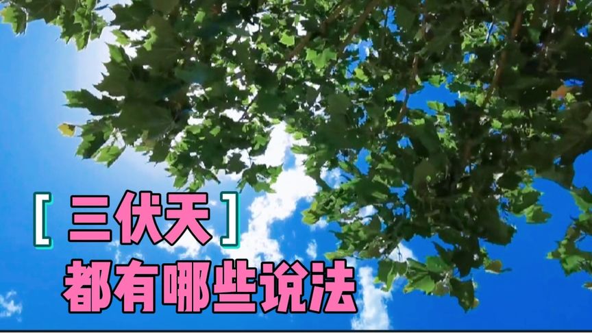 2022年的三伏天已进入,关于三伏天的一些说法你知道多少