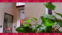 北京农商行宣传片
