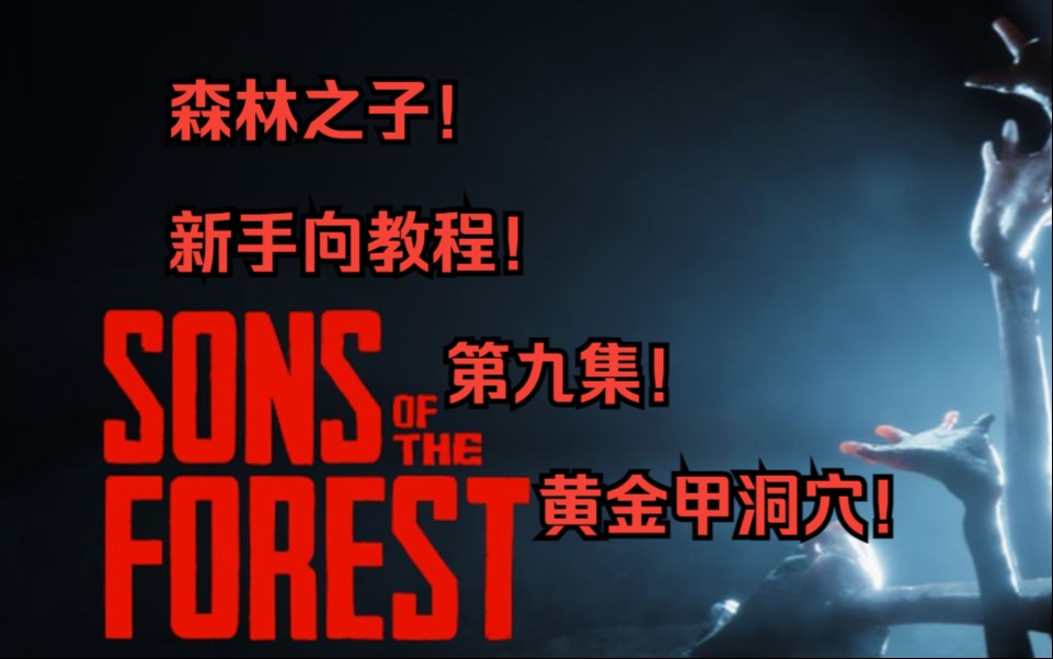 黄金甲洞穴,森林之子!新人向教程!_教程