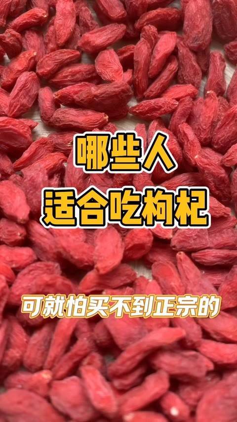 #中草药知识 #中药材功效 #滋补养生 什么样的人适合吃枸杞呢? #宁夏...