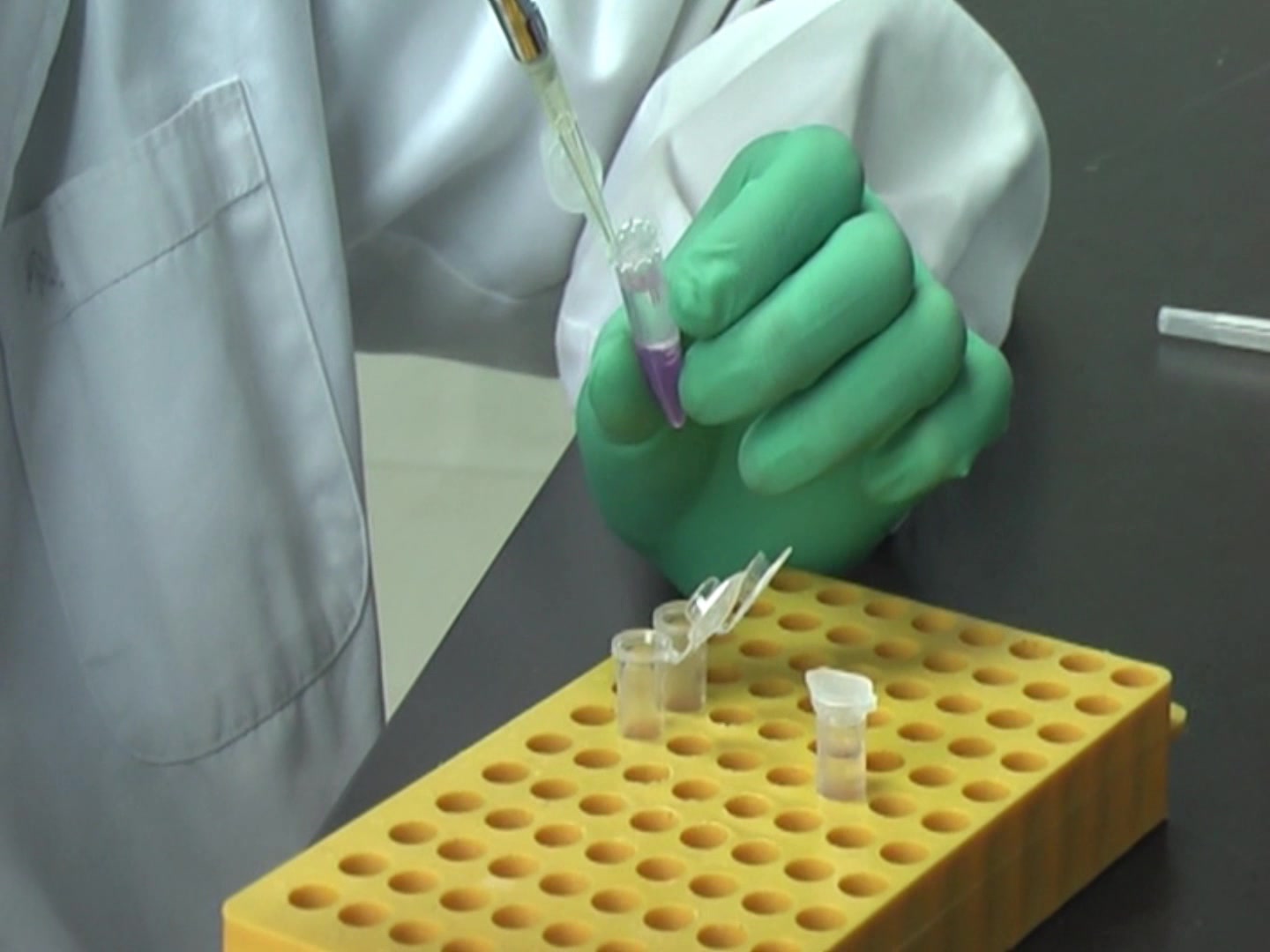 从RNA提取到RT-PCR