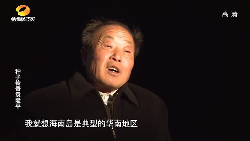 多次遭遇水稻不成功育种,袁隆平发现其中问题,这是怎么回事?