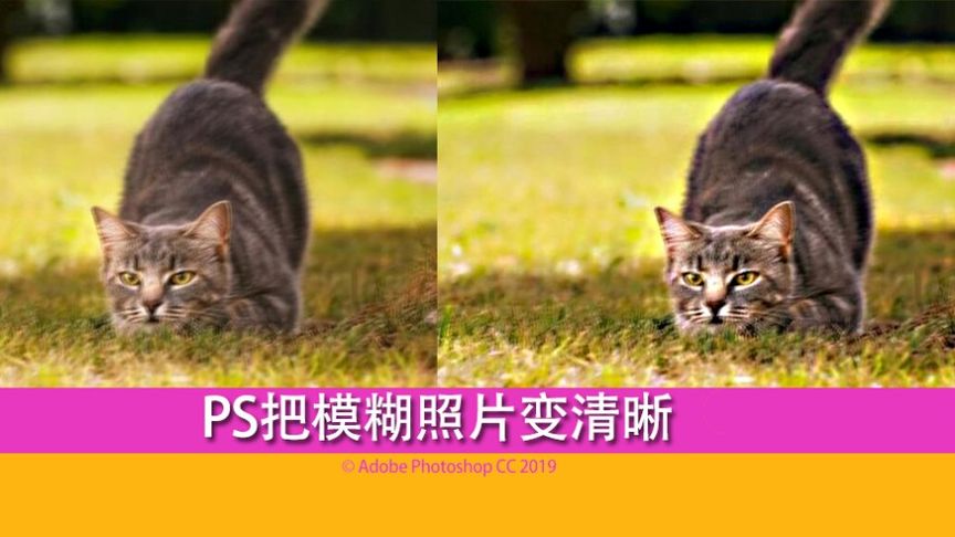PS把模糊照片变清晰,简单一招,搞定