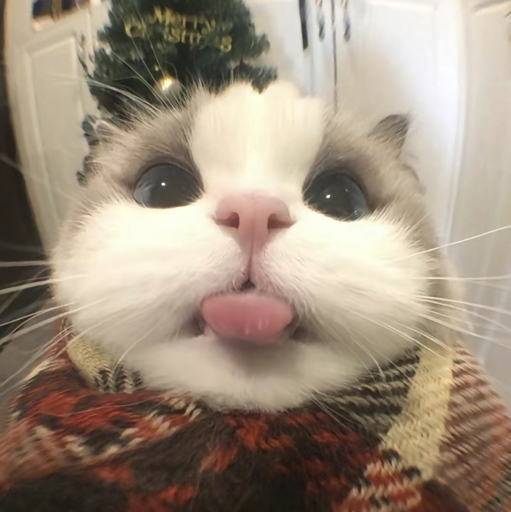 伊蕞笆子 