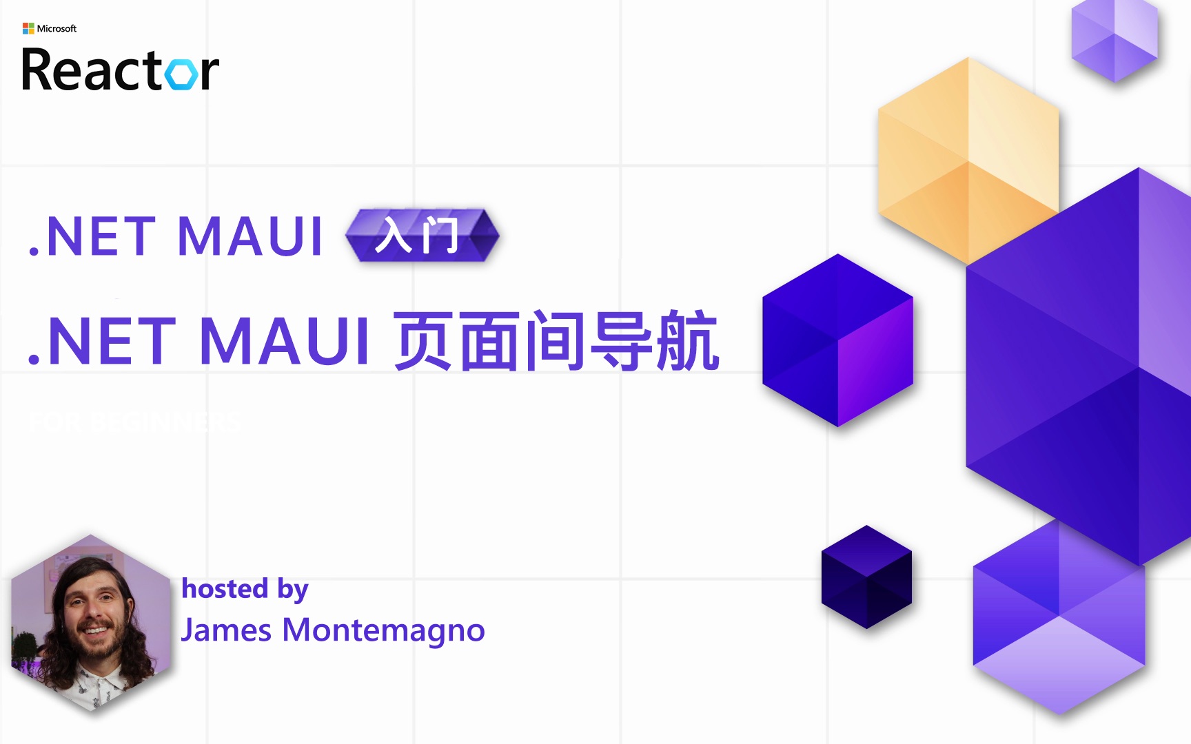 .NET MAUI 页面间导航|.NET MAUI 入门