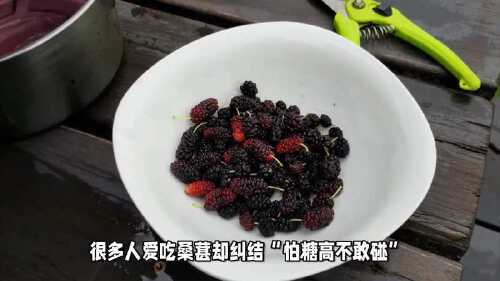 桑葚是升糖炸弹还是补肾王者?3大真实功效揭秘,4种吃法糖友放心吃