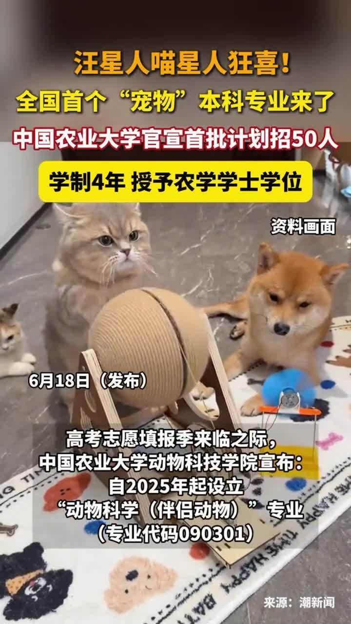 汪星人喵星人狂喜!全国首个宠物本科专业来了
