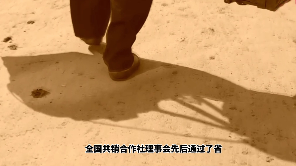 供销合作社的前世今生,在计划经济时期发挥过重要作用,回顾供销社的...