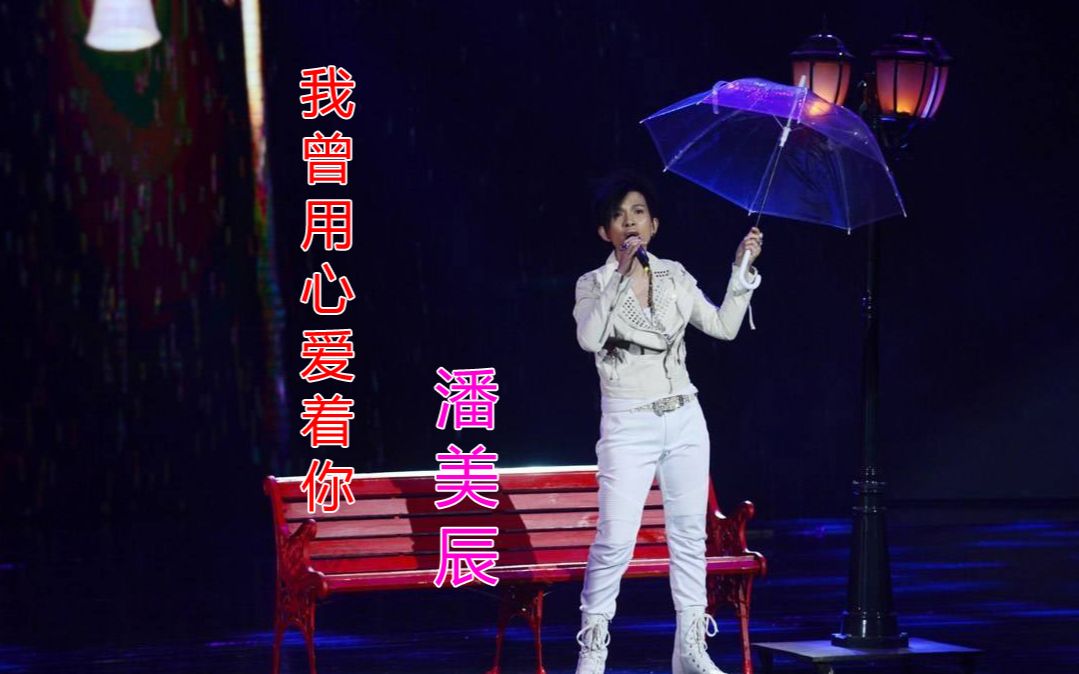 潘美辰《我曾用心爱着你》你总是如此如此如此的冷漠
