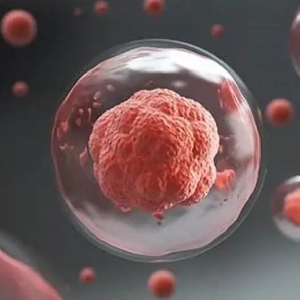 生物丶见闻录 