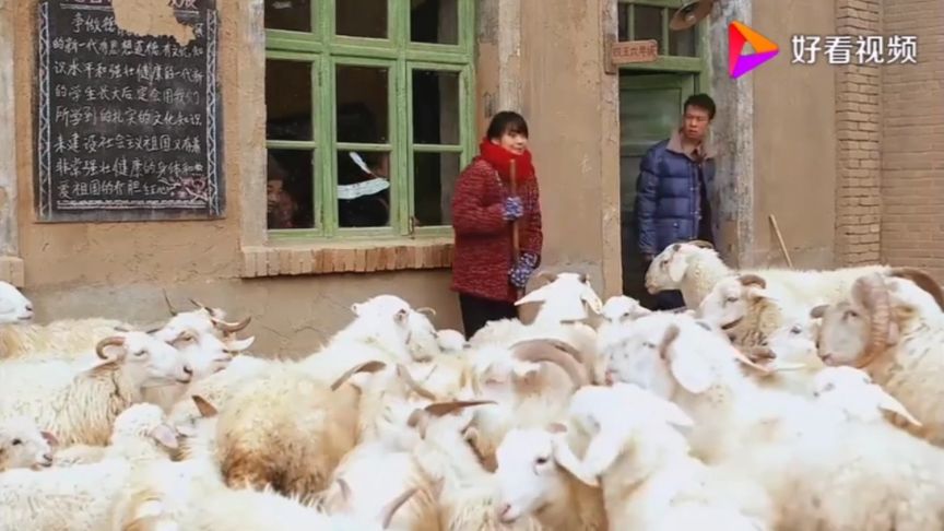 放羊女哭追教书郎,老丈人略施小计,便轻松拿下,女儿抱得美郎归