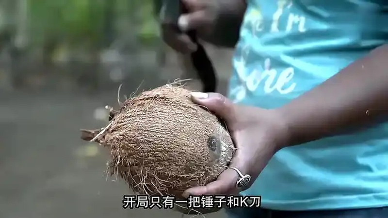 纪录片:男子荒岛生存25年,盖了房子娶了媳妇,用海洋垃圾造柴
