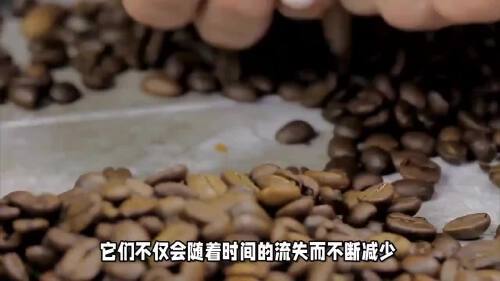 咖啡豆应该怎么保存?影响咖啡豆新鲜度的四大"天敌"是什么?