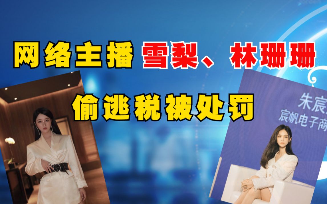 税务部门就雪梨和林珊珊偷逃税案件答记者问【快讯速看】