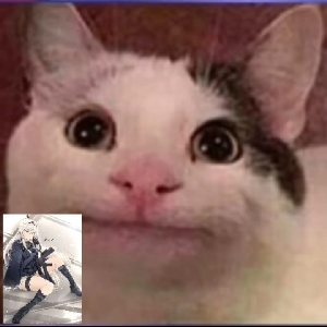 燃えるお茶です 