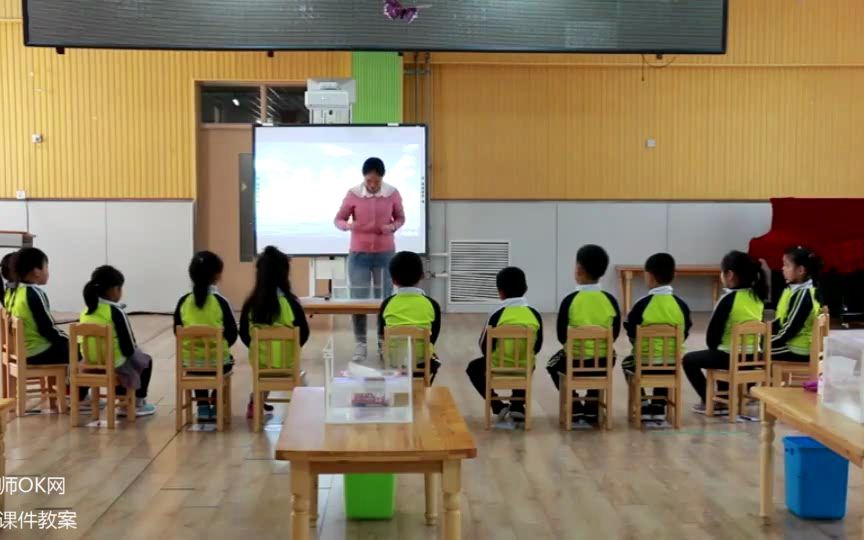 幼儿园大班科学活动《让硬币浮起来》幼师优质课公开课教案 实验活动