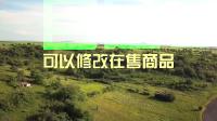拼多多改价精灵批量修改商品价格突破8%加价