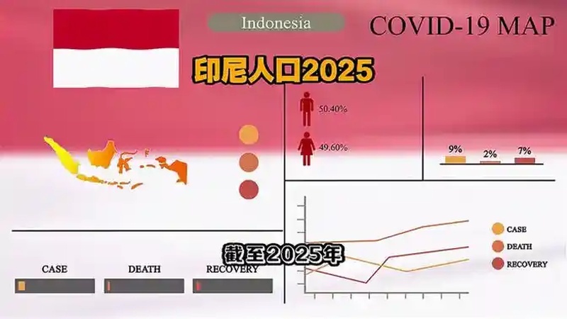 印尼人口2025