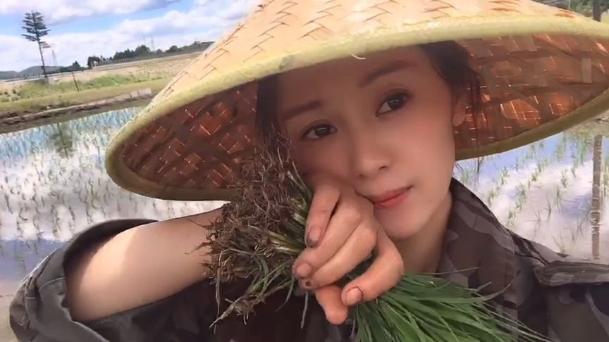 带你们看看最原始的水稻种植方法!