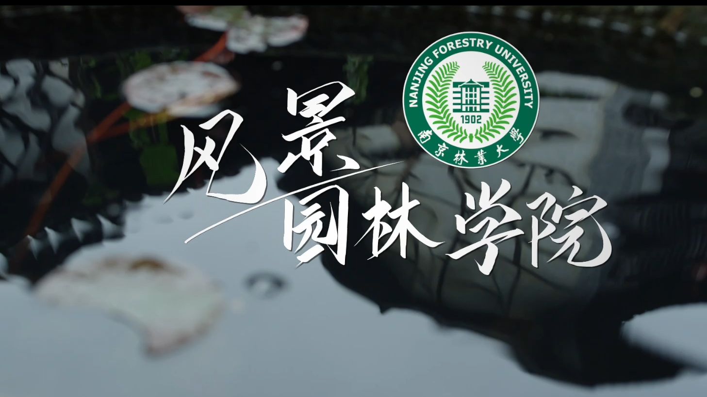 【非凡导师】南京林业大学非凡导师宣传片:风景园林学院