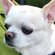 梦相逢Zzz 