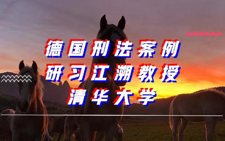 德国刑法案例研习 (清华江溯教授)