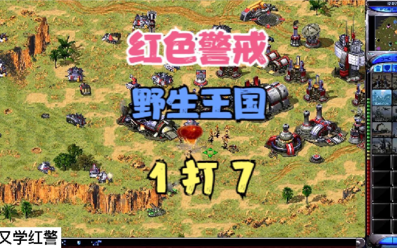 红色警戒2共和国之辉,野生王国1打7冷酷的敌人,红警怎么玩法_哔哩...