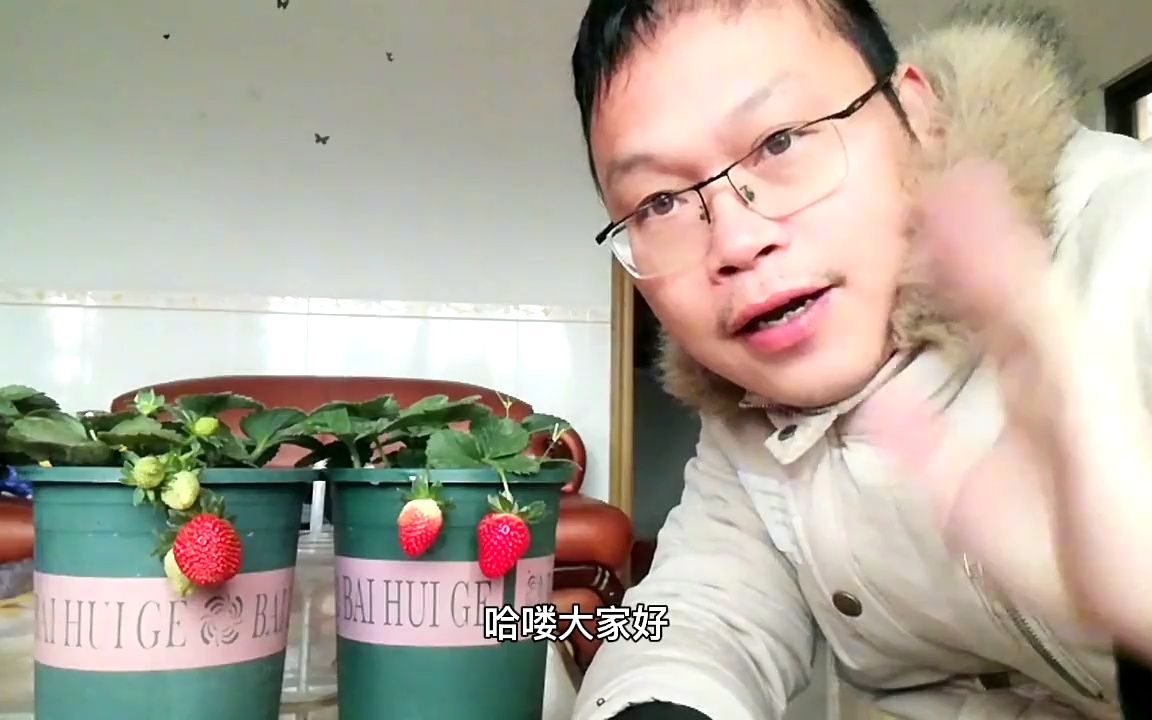 过期维生素B2“能用”吗?别丢了,原来很值钱