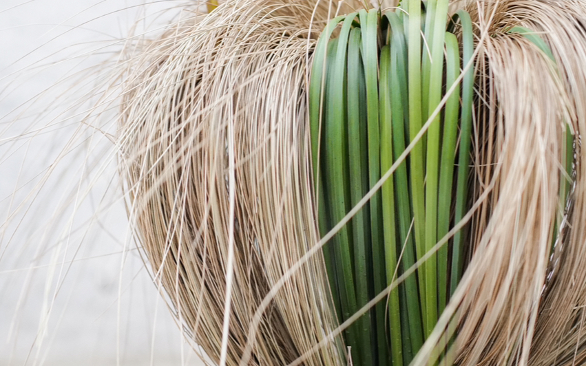 【花花世界】立春~今年这个节气格外特别!