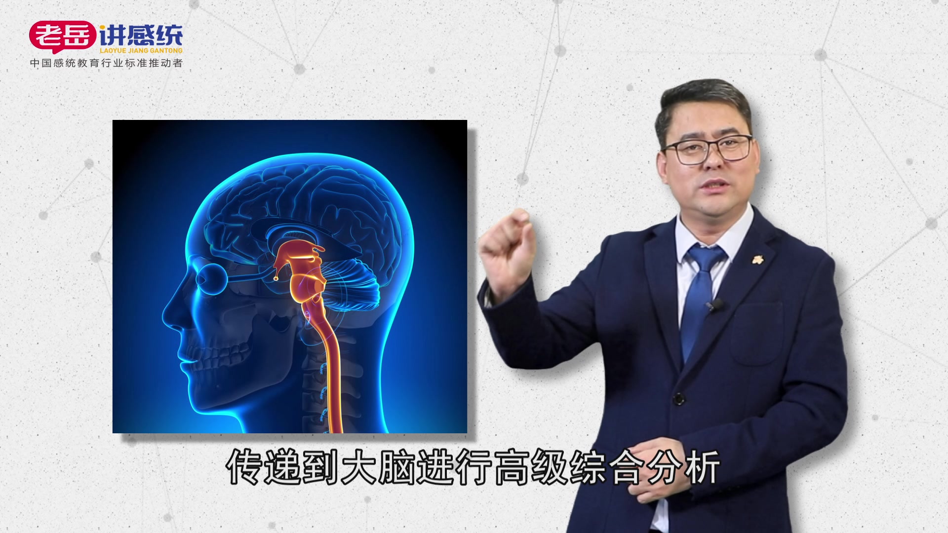 感统知识百科:脊髓主要功能就是传递外周与脑之间的神经信息