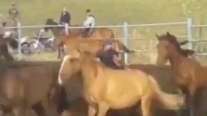 内蒙古科目二考试