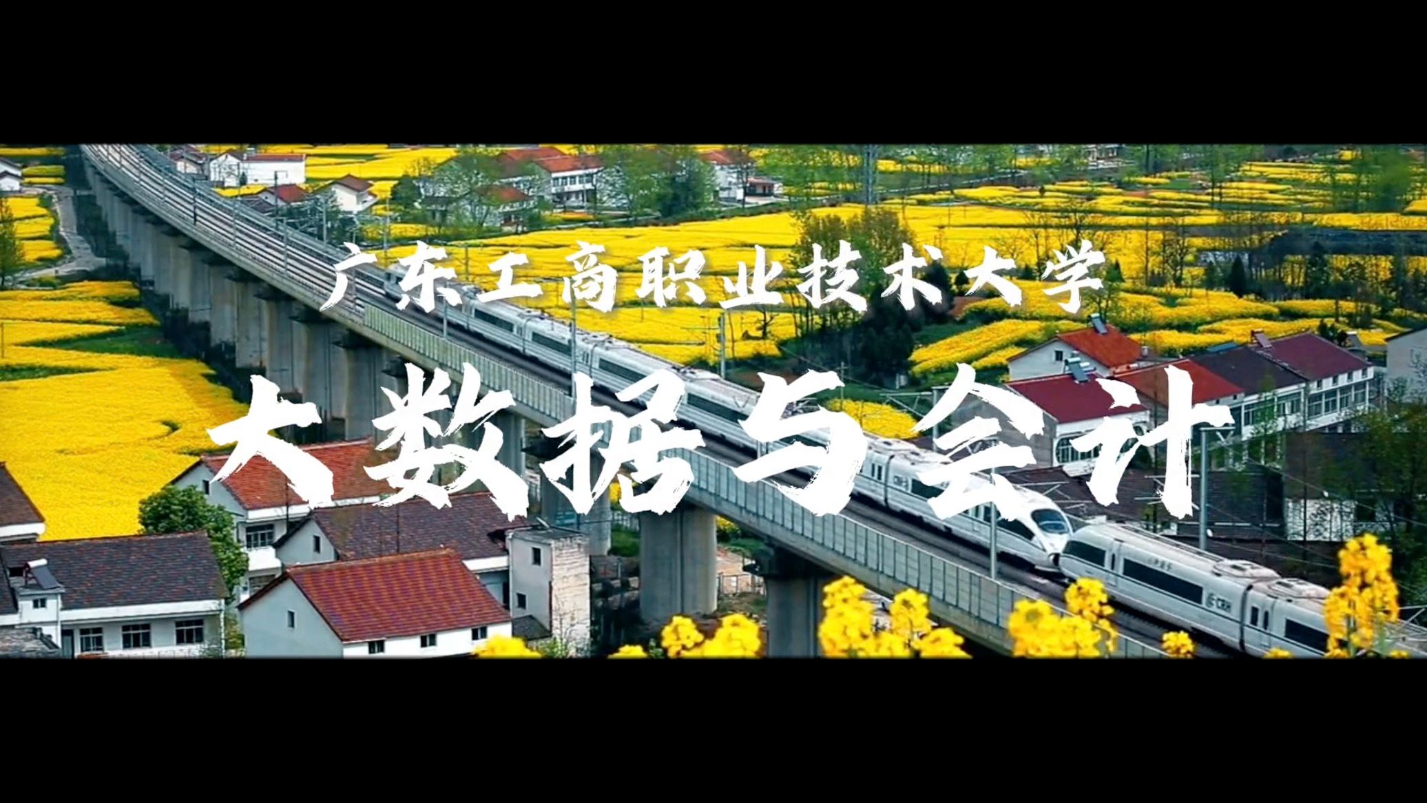 2024财经政法学院大数据与会计专业宣传片