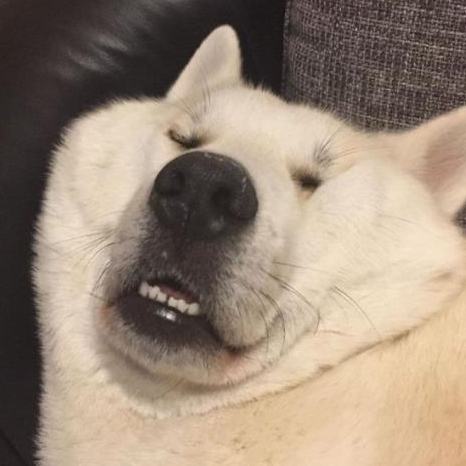 蹲街看丝袜 