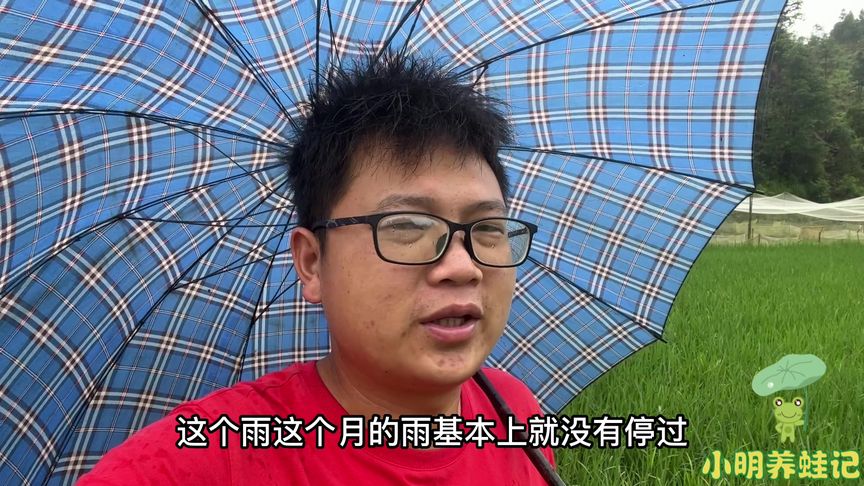 天天下雨!原料短缺饲料价格又涨了!今年养殖太难了