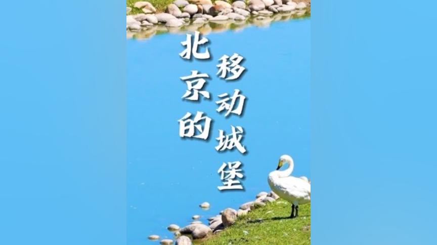 快看!哈尔的移动城堡来了,这次的目的地是--北京!