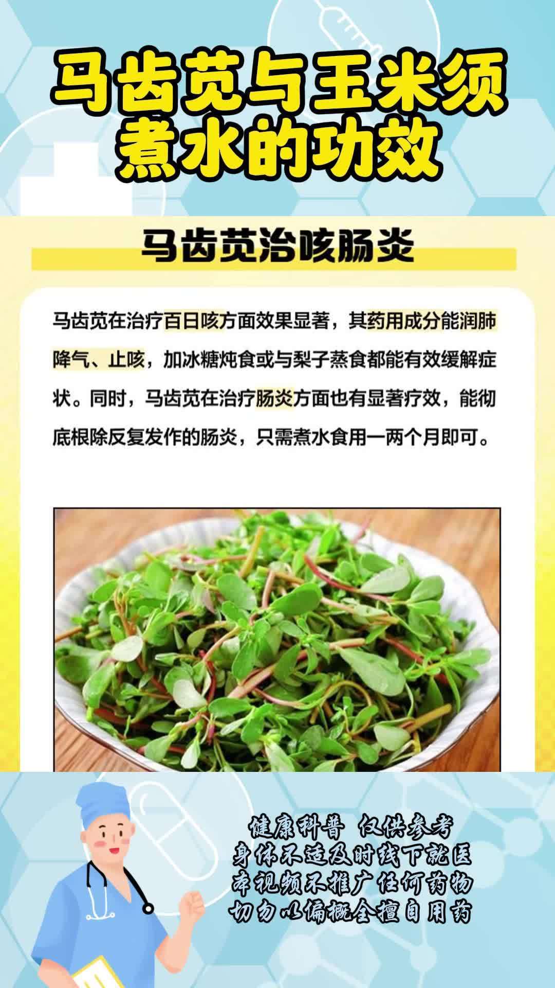 马齿苋与玉米须煮水的功效,一起来看看它们到底有啥神奇之处吧!