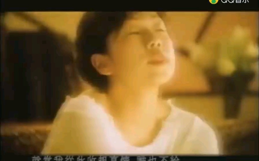 林忆莲《为你我受冷风吹》MV