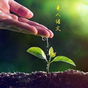素人语文 