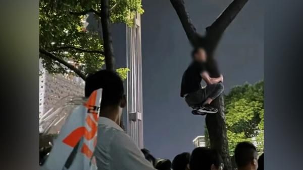 许巍昆明演出现场人山人海:歌迷爬树上房,手机网络一度瘫痪