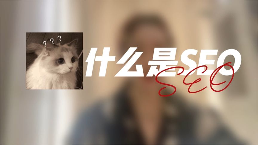 #web前端 #前端 什么是SEO #程序员 #编程