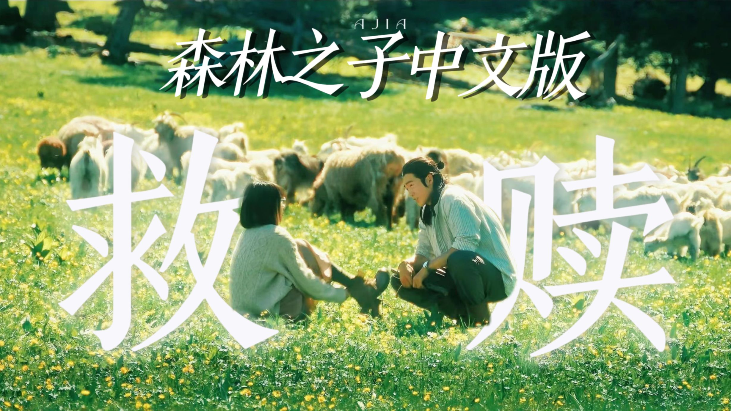 仙曲配神作!最适合《我的阿勒泰》的OST出现了!中文版森林之子打开...