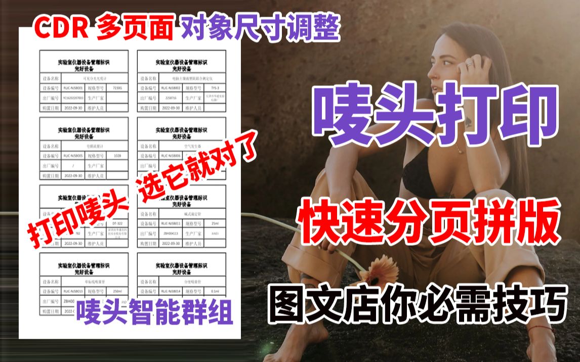 ...、快速分页、页面拼版、多页面对象尺寸调整——CDR小精灵插件教程
