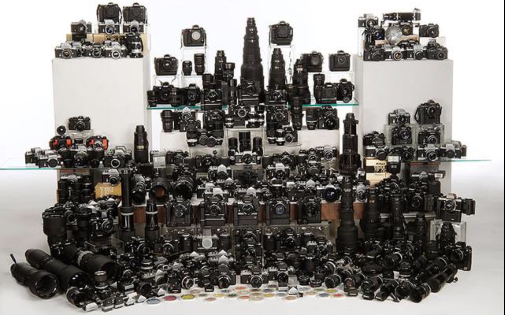 索尼微单微距拍摄技巧分享