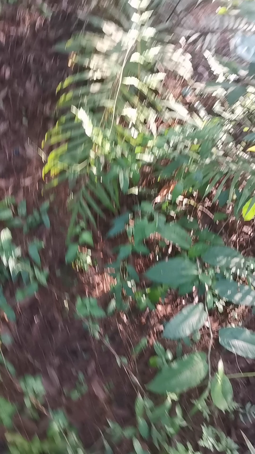 山区手机信号基站是怎么修复的。